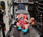 NEO-Mate Infant Restraint System | Ferno Norden